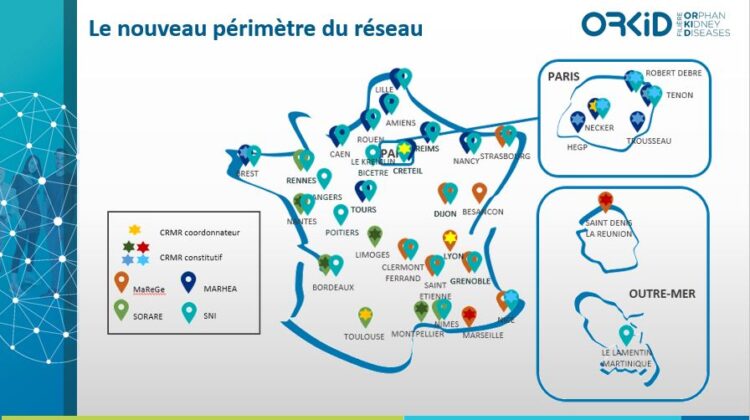 Carte ORKiD 2024 - ORKiD, Filière de santé des maladies rénales rares